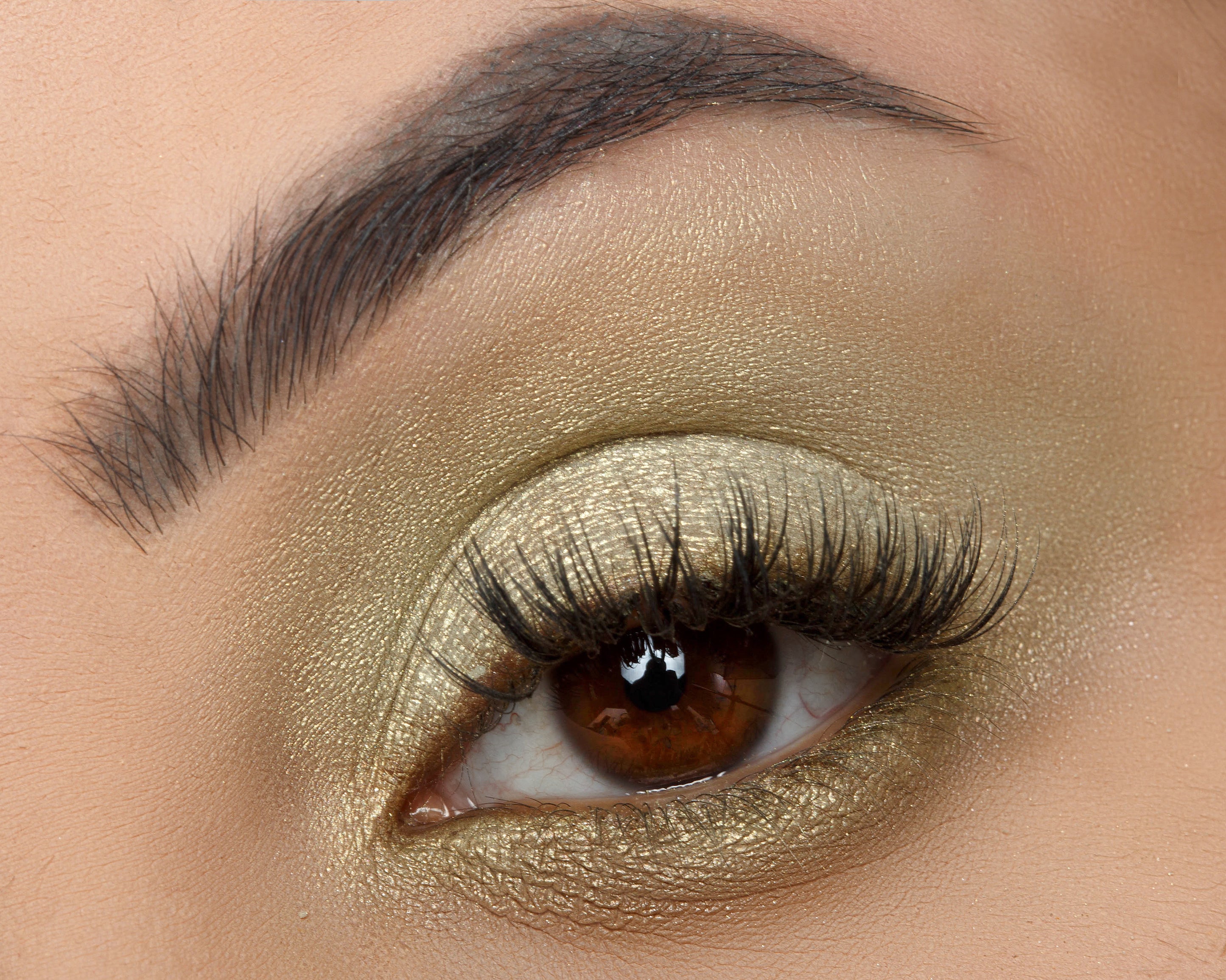 Empowered | OFRA Signature Eyeshadow Palette | Cruelty-Free Eye Makeup ...